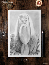 DUMBLEDORE - Harry Potter (Print) – Draw_e_r