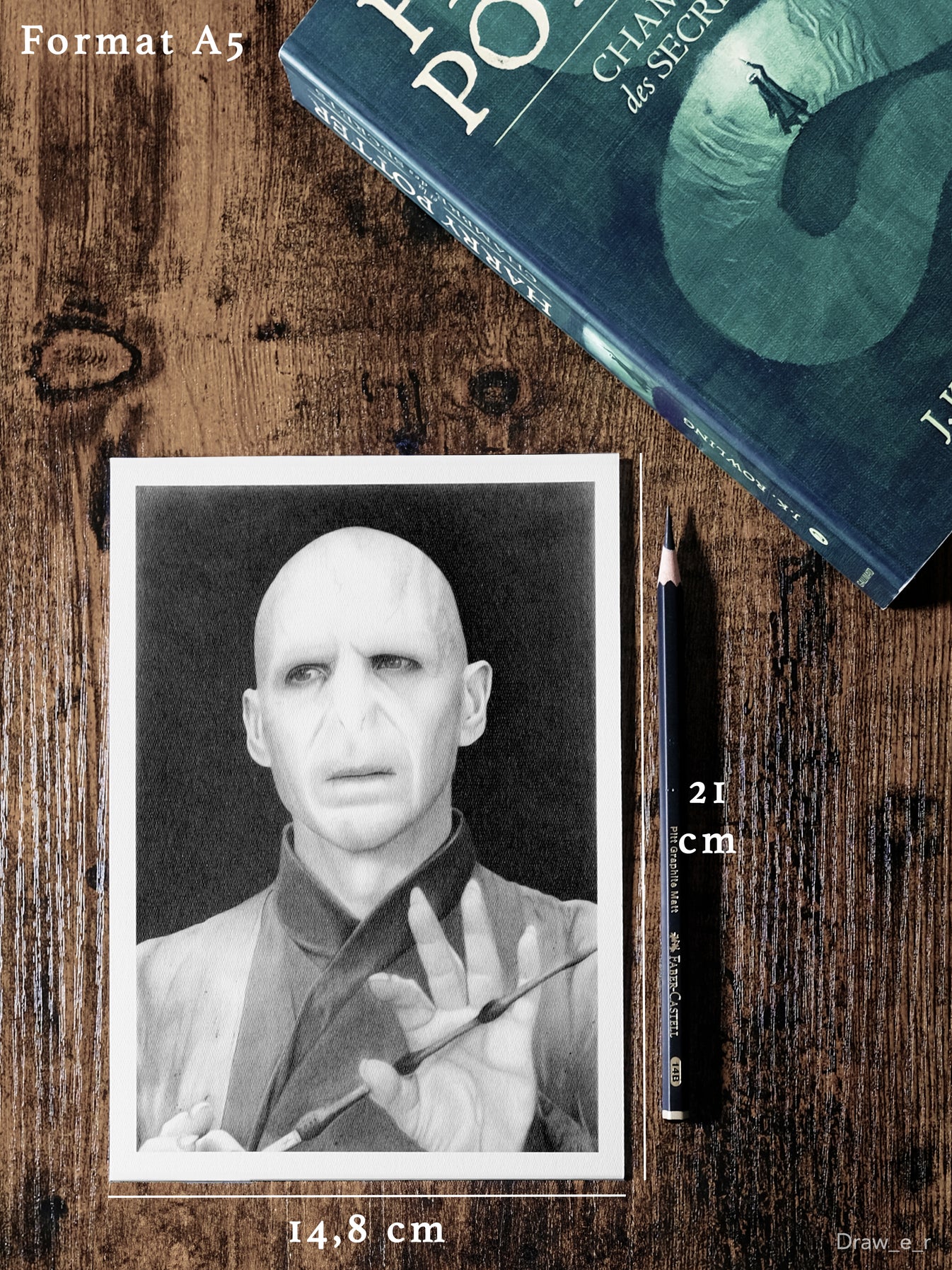VOLDEMORT - Harry Potter (Print) – Draw_e_r